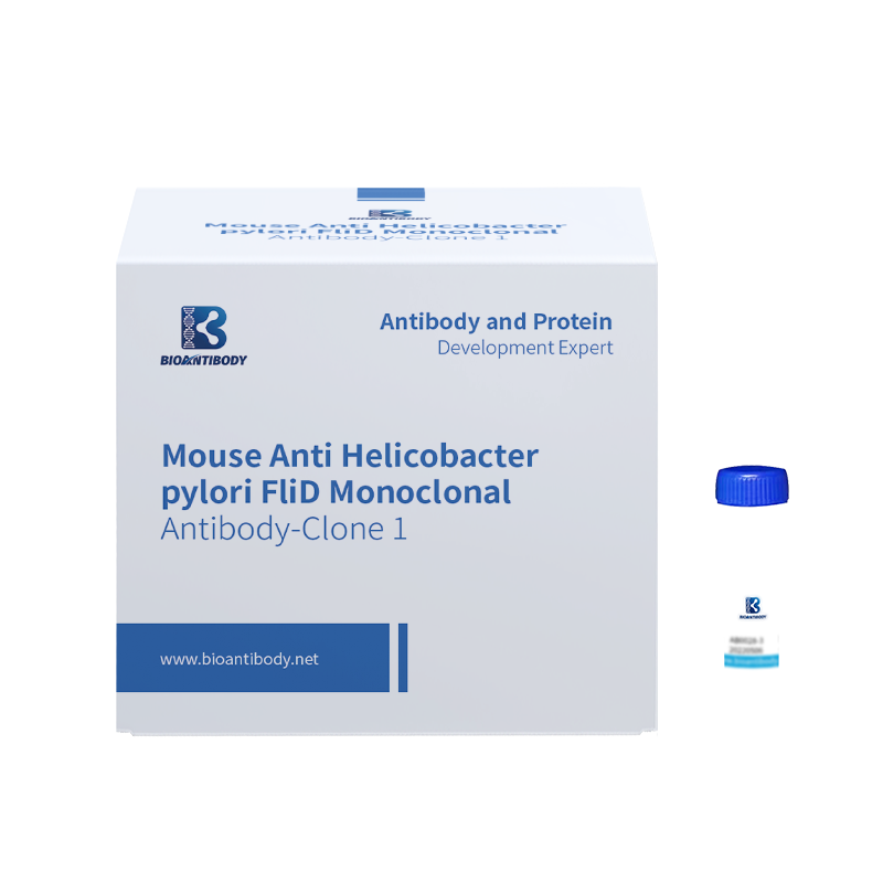 China Mouse Anti Helicobacter pylori FliD Monoclonal Antibody-Clone 1 ...