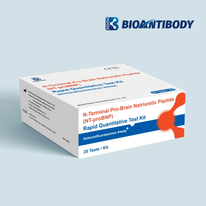 China N-Terminal Pro-Brain Natriuretic Peptide (NT-proBNP) Rapid ...
